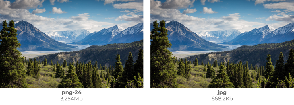 Diferencias entre JPG y PNG: ¿Cuándo es mejor utilizar cada uno?